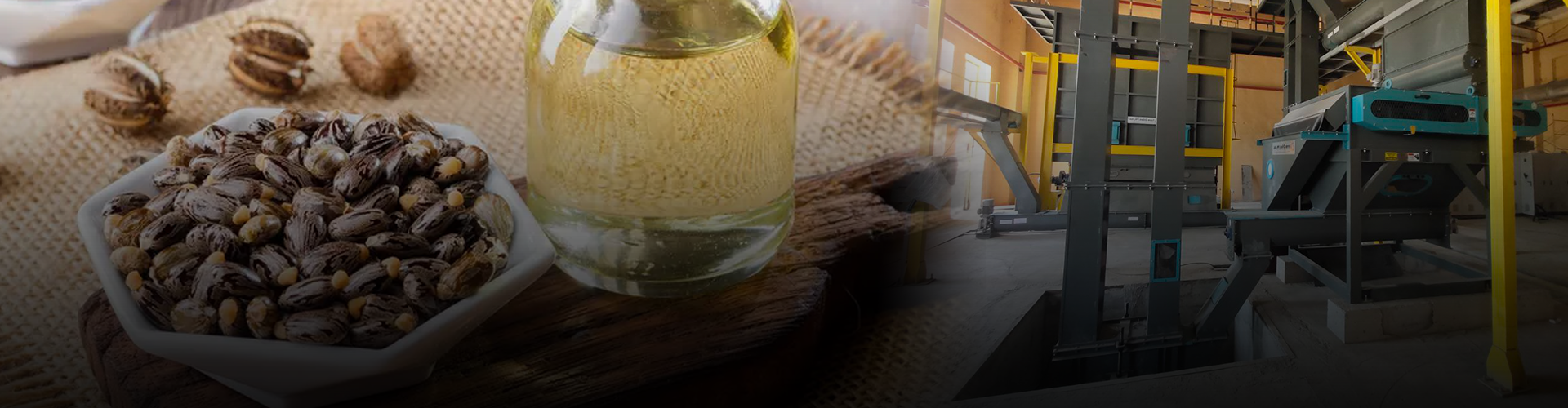 Processamento de Sementes de Mamona | Soluções Eficientes | Ferro Oiltek