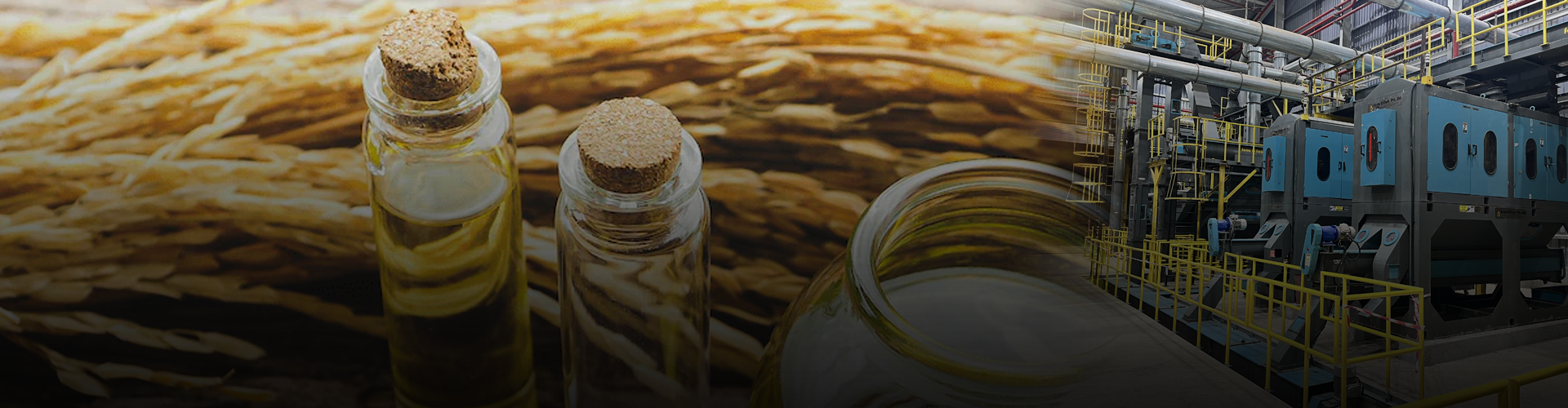 Rice Bran Processing Technology | Ferro Oiltek