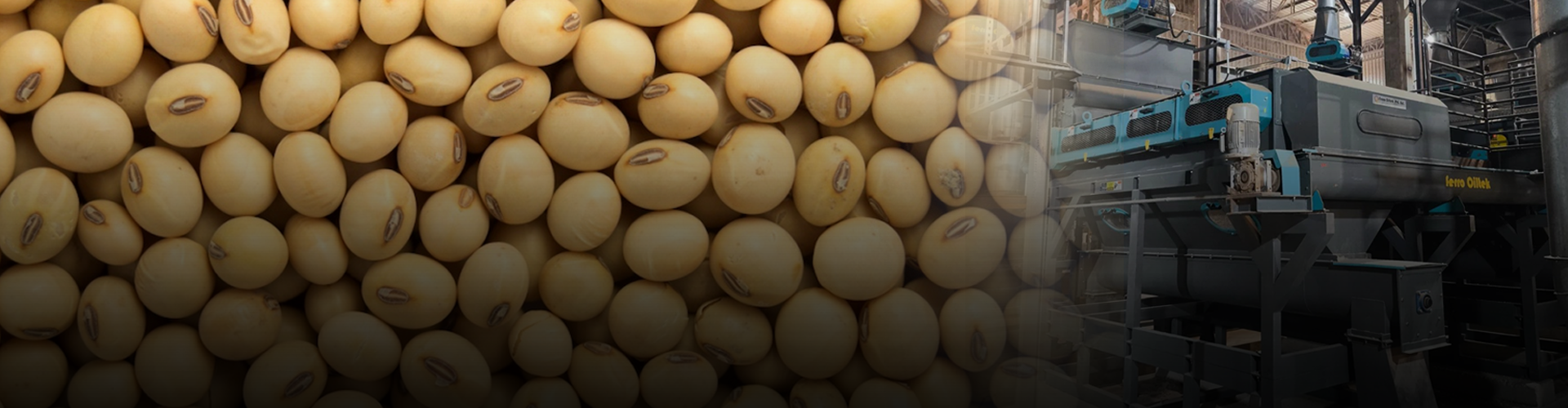 Soya Seed Processing | Ferro Oiltek Solutions