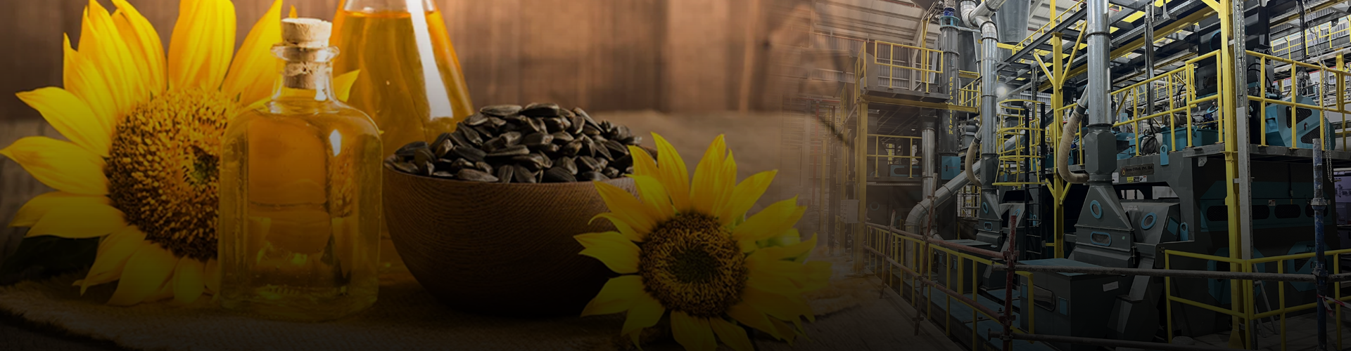 Sunflower Seed Processing Machine | Ferro Oiltek